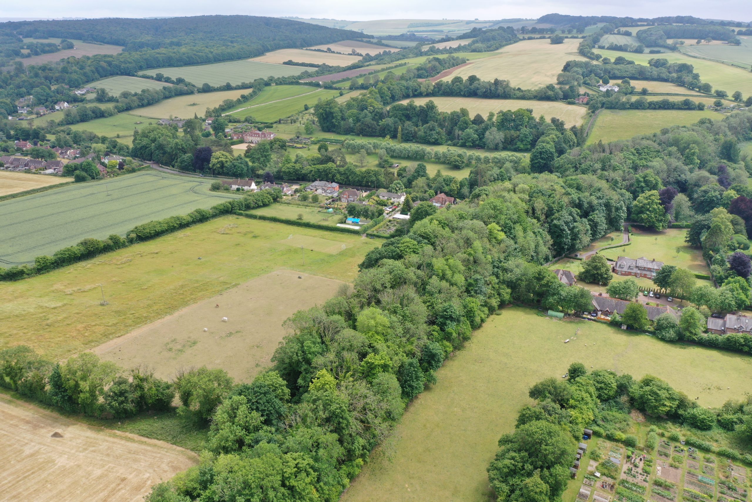Section of Meon Valley Railway Line - Giles Wheeler Bennett
