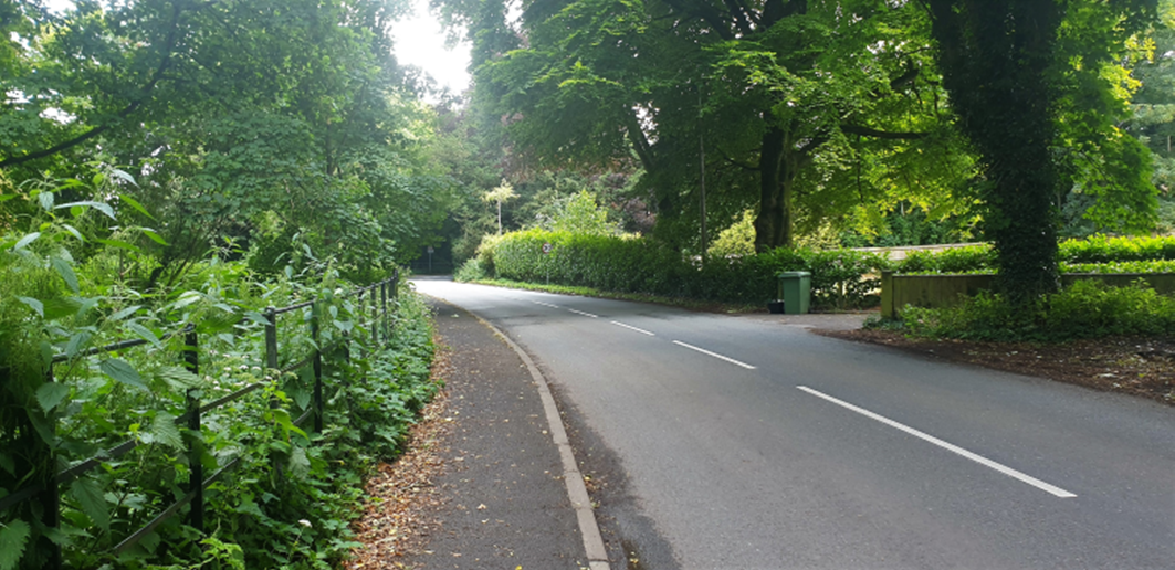 Section of Meon Valley Railway Line - Giles Wheeler Bennett