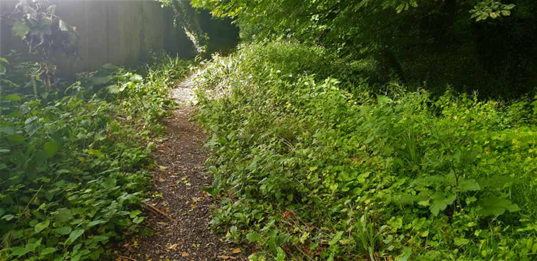 Section of Meon Valley Railway Line - Giles Wheeler Bennett