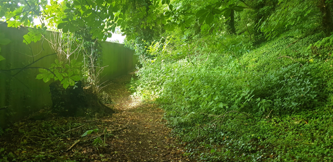 Section of Meon Valley Railway Line - Giles Wheeler Bennett